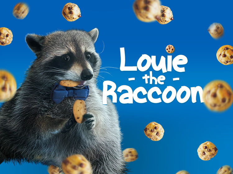 Louie the Raccoon